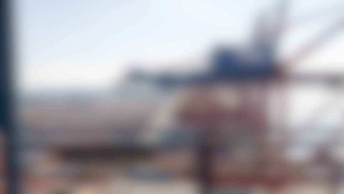 The Company | BLG LOGISTICS