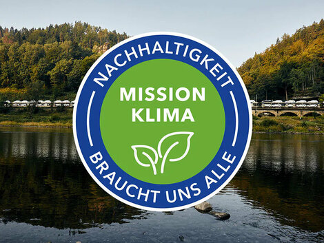 Containers in the fast lane | BLG LOGISTICS